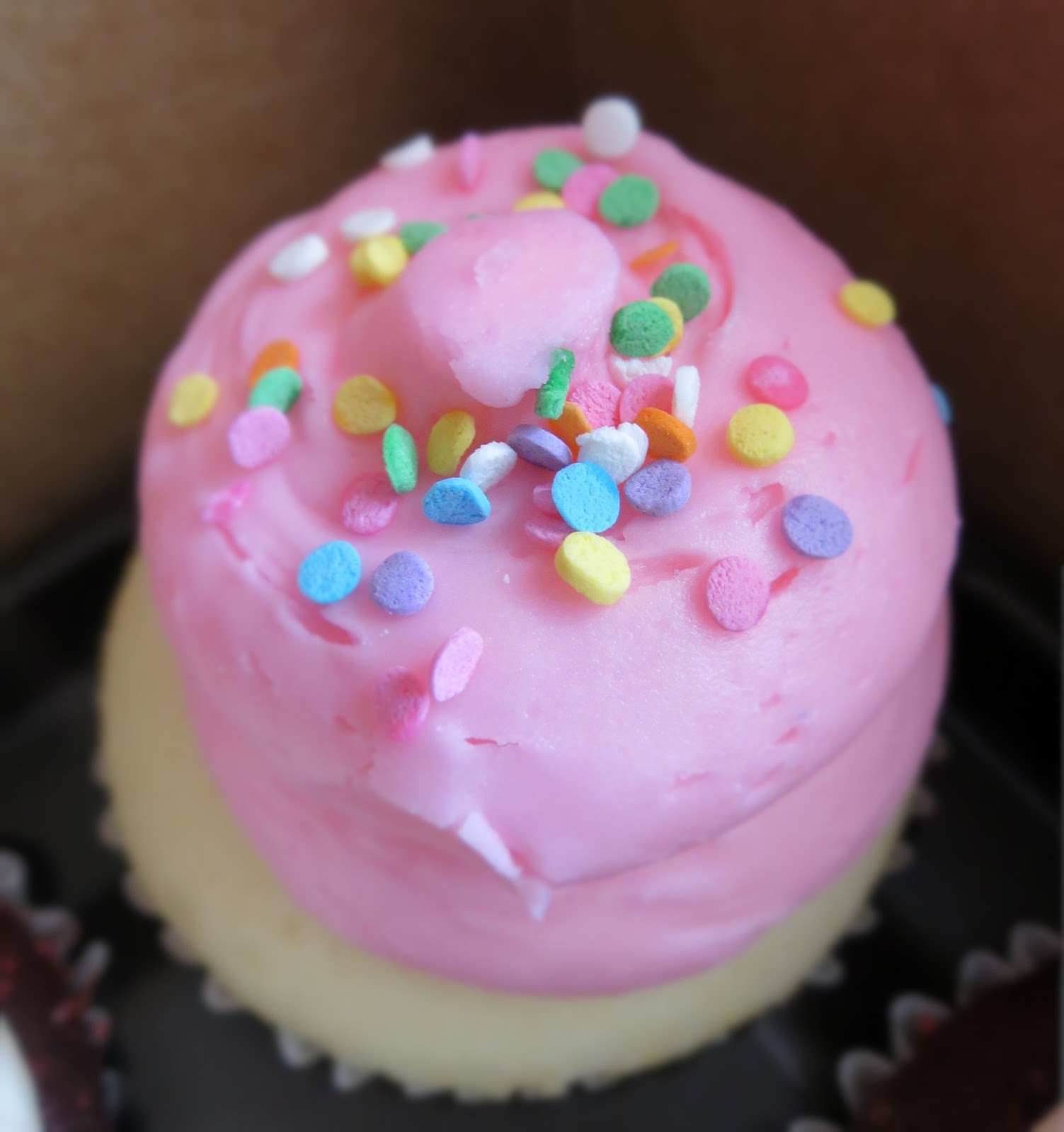 Wide Open Spaces: Cupcakes and Secrets