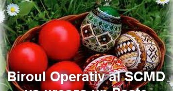 SINDICATUL CADRELOR MILITARE DISPONIBILIZATE (SCMD)