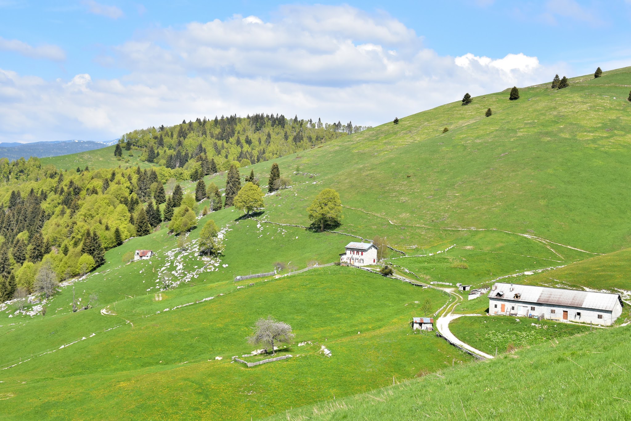 Forte Lisser: escursione da Enego