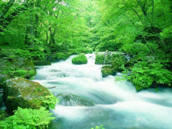 MEIO AMBIENTE FÍSICO OU NATURAL