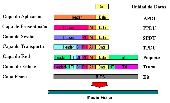 Modelo OSI | Network IPs