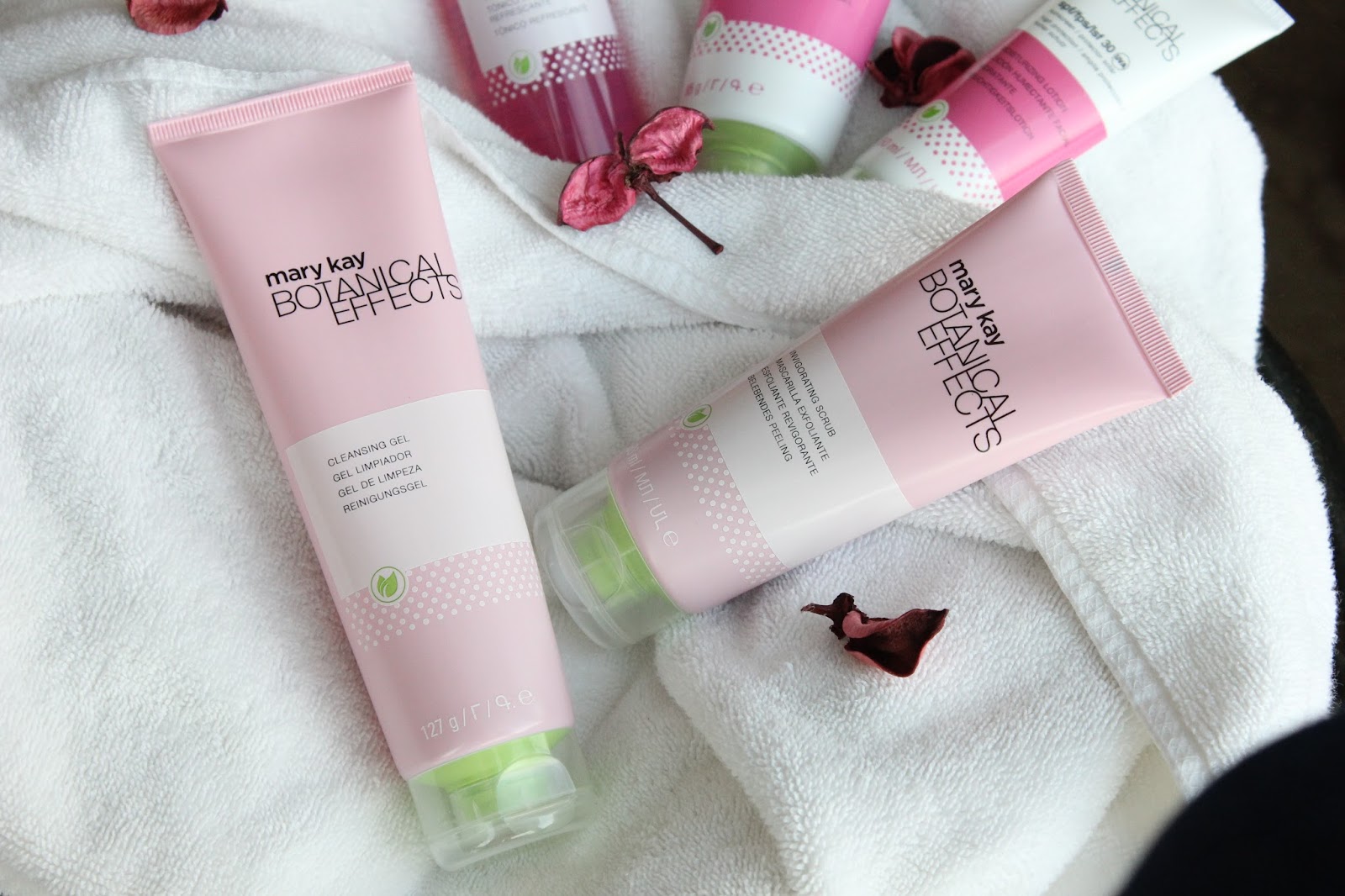 November Skincare Routine | Mary Kay Botanical Effects Skin Care | ♥ ...