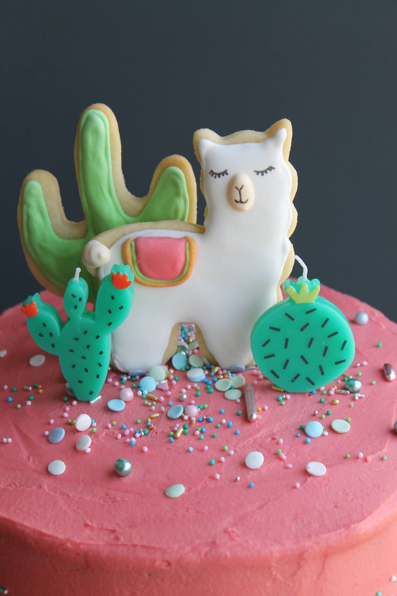 Serendipitous Discovery: Llama Cake Recipe and Instructions