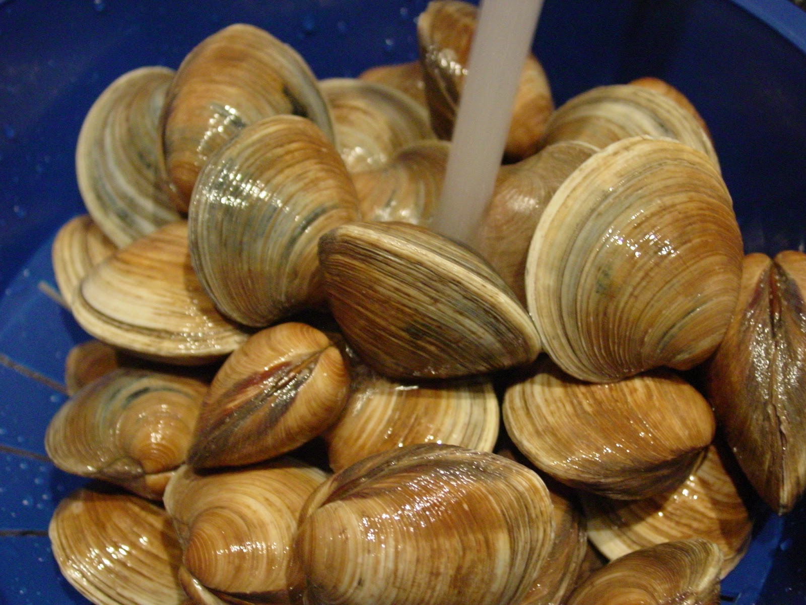 The Dirty Floor: Clam Linguine with White Wine and Red Peppers