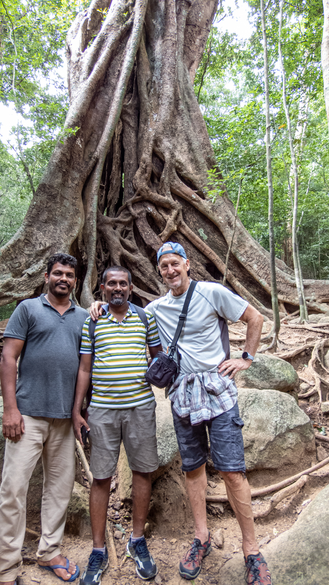 Tom Tidball Blog: 2020