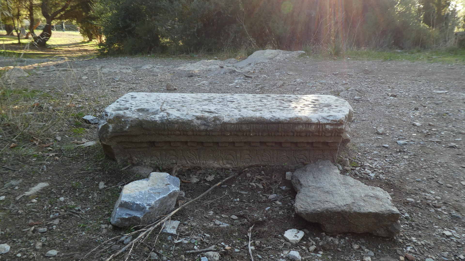 ΑΙΣΘΗΤΙΚΟ ΔΑΣΟΣ ΚΑΙΣΑΡΙΑΝΗΣ