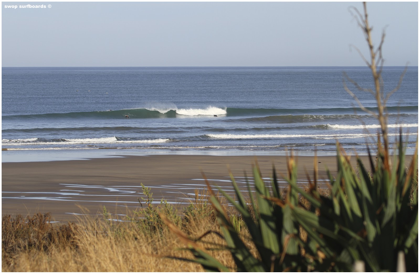 swop surfboards: DIMITRI ZOELLIN ON MINI SIMMONS