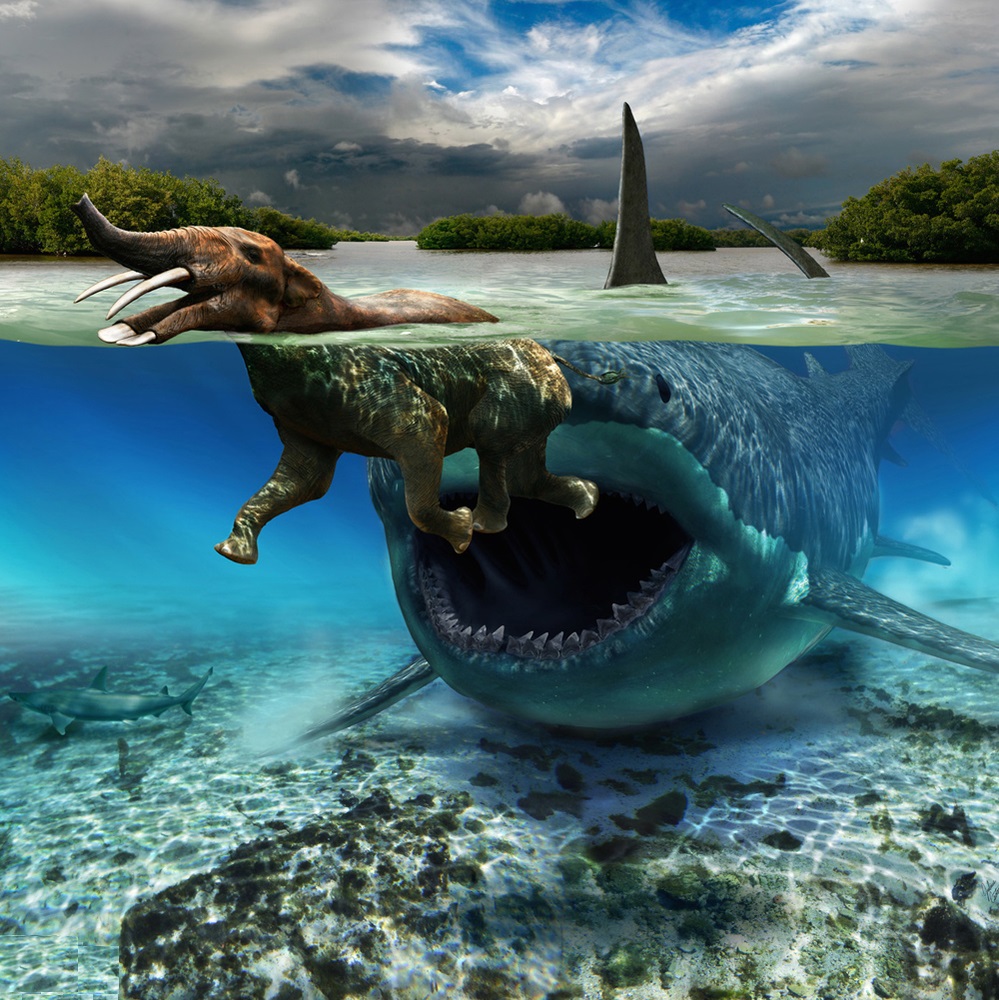 Megalodon and Platybelodon | Earth Blog