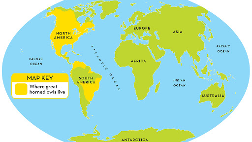 Green World: August 2020