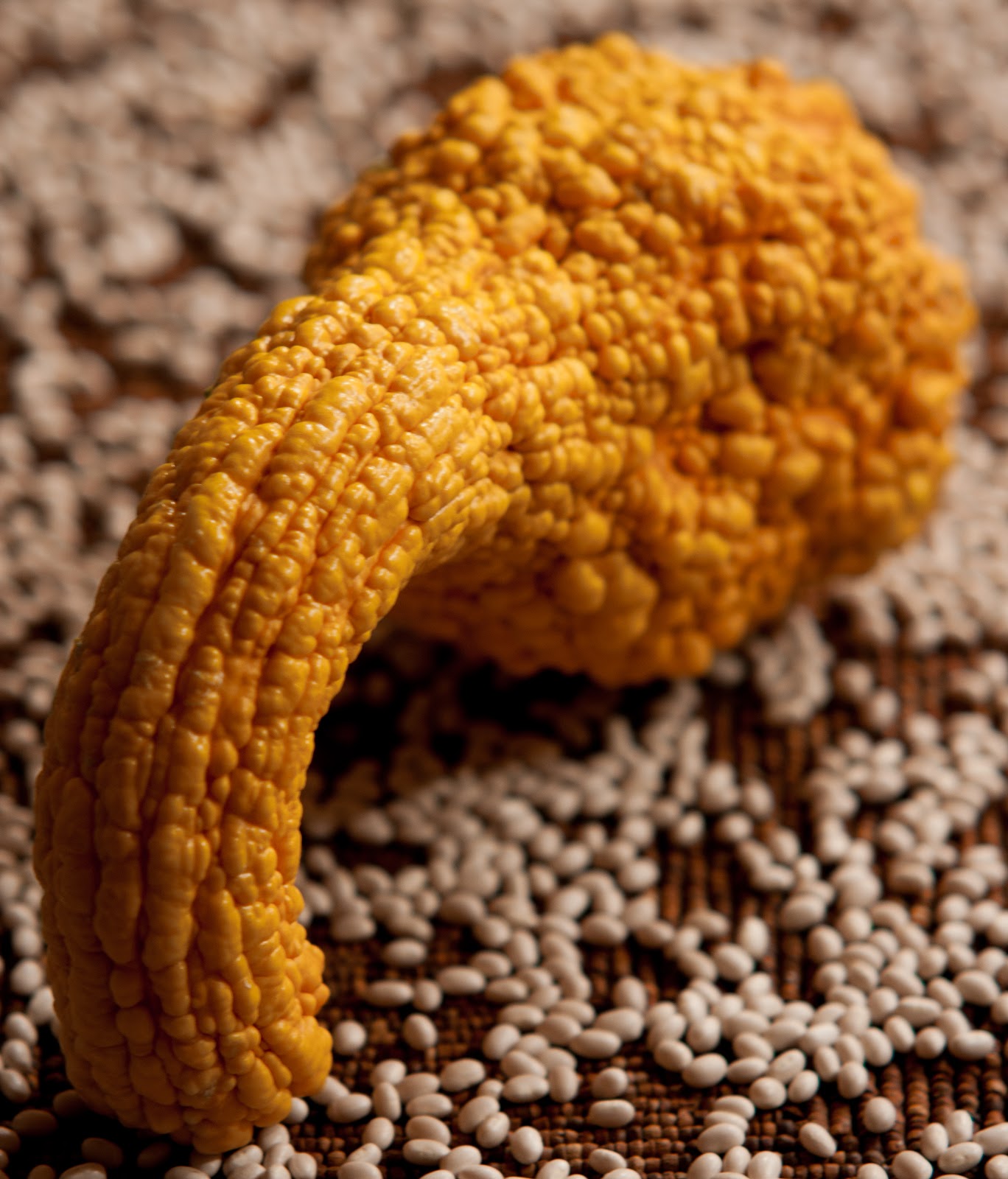 Sigafoos Photography ~ 365 Project: Day 8: Lumpy