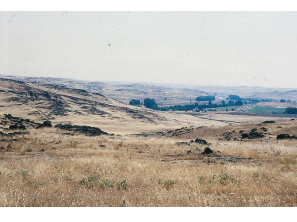 ECOLOGIAhuatusco: Estepa