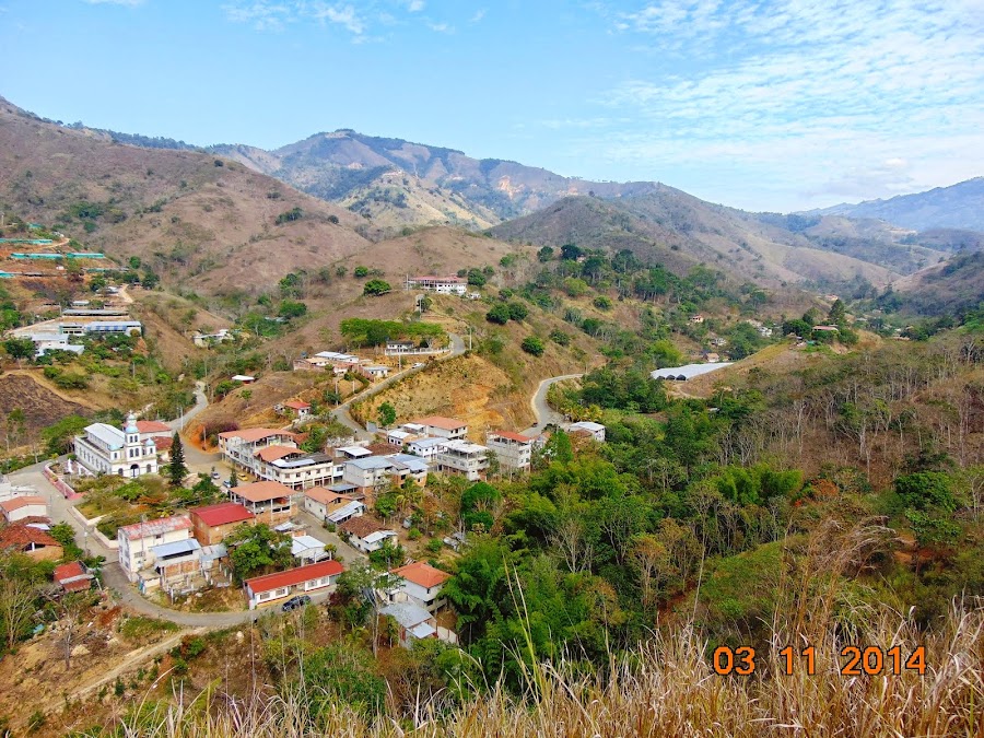 TARAPAL SAN ROQUE PIÑAS: agosto 2014