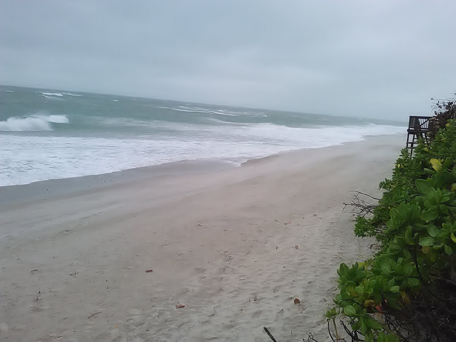 The Treasure Beaches Report Direct From Florida's Treasure Coast.: 2/21 ...