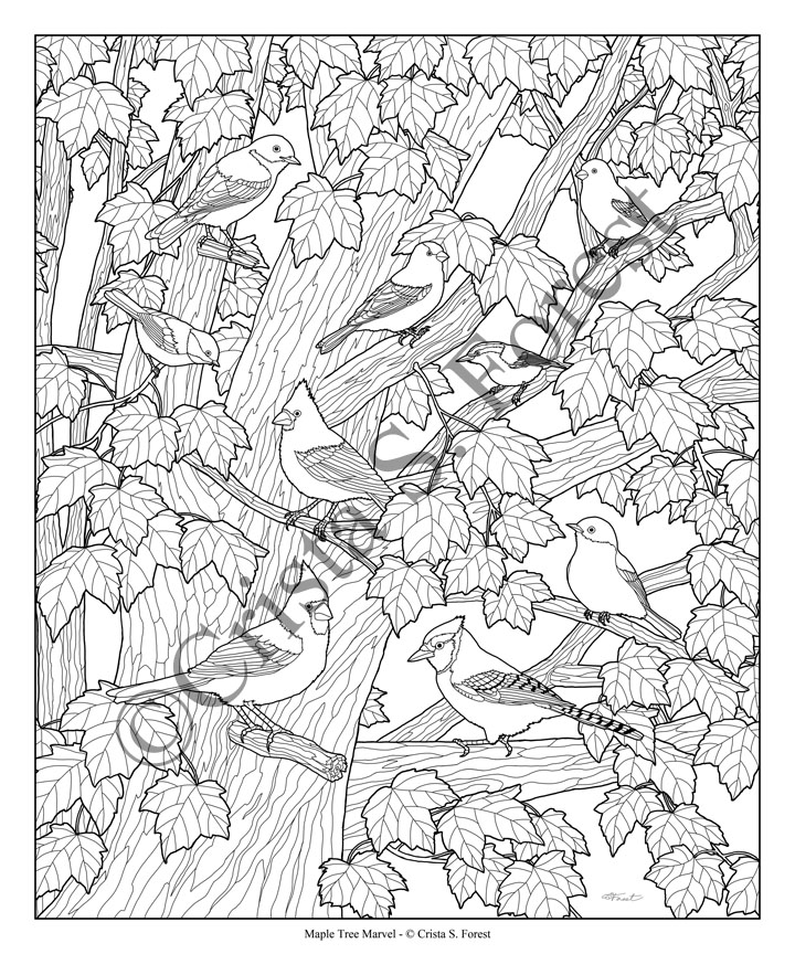 Crista Forest's Animals & Art: Autumn Birds Adult Coloring Page