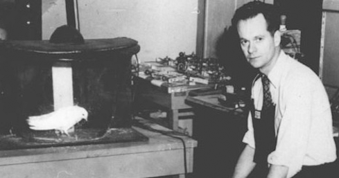 Vida e Obra de B. F. Skinner