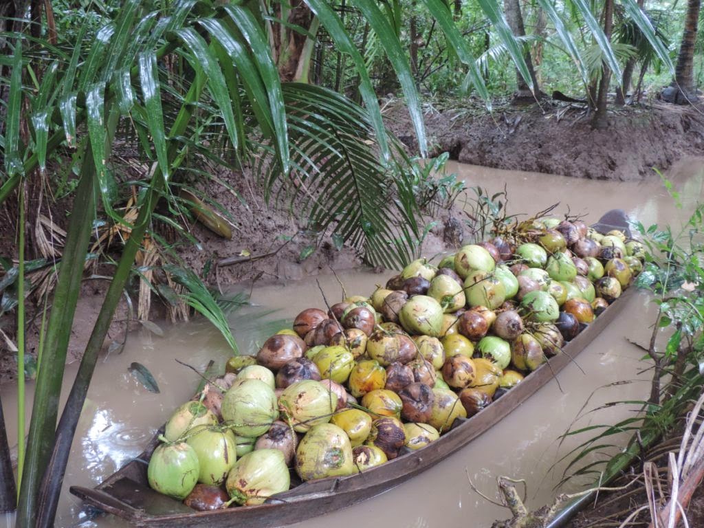 Tourism Information Promotion Center of Ben Tre : Oc Islet Tourism ...