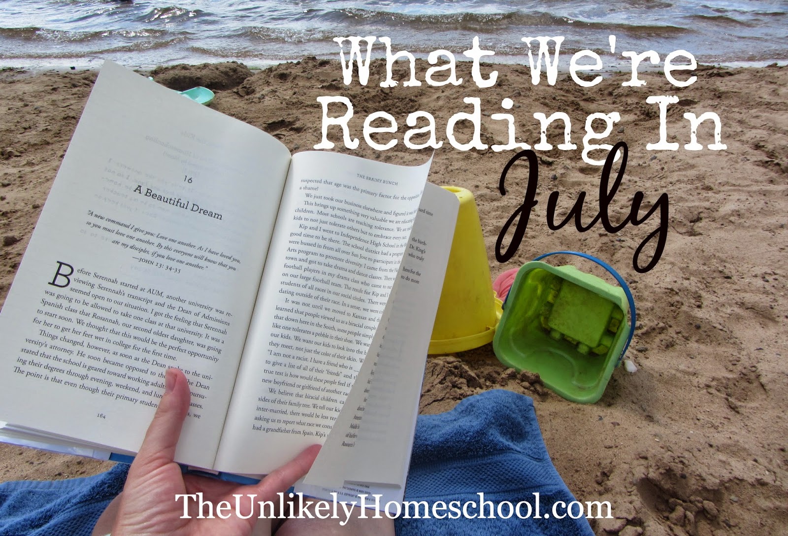 The Unlikely Homeschool: What We're Reading in July 2014
