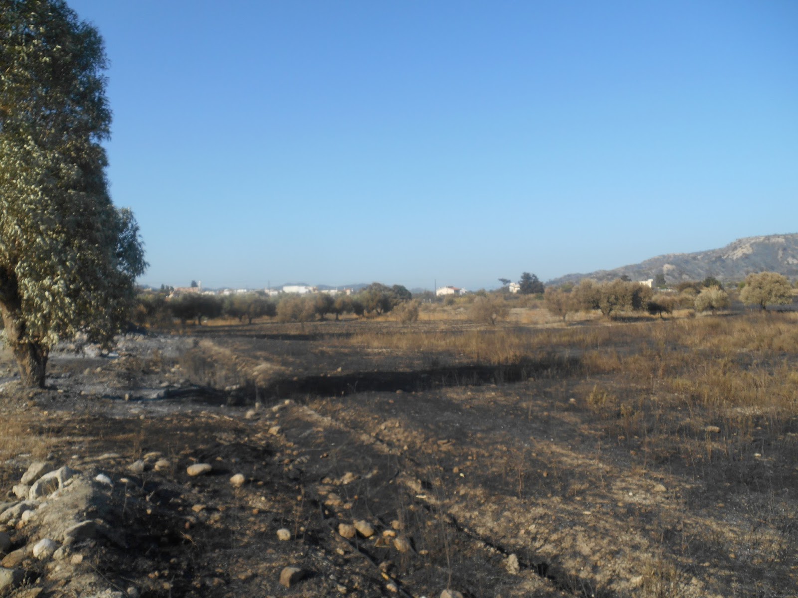 ΜΕΣΑΝΑΓΡΟΣ ΡΟΔΟΥ: " Η ΑΠΟΛΑΚΚΙΑ ,ΜΕΤΑ ΤΗ ΜΕΓΑΛΗ ΦΩΤΙΑ"
