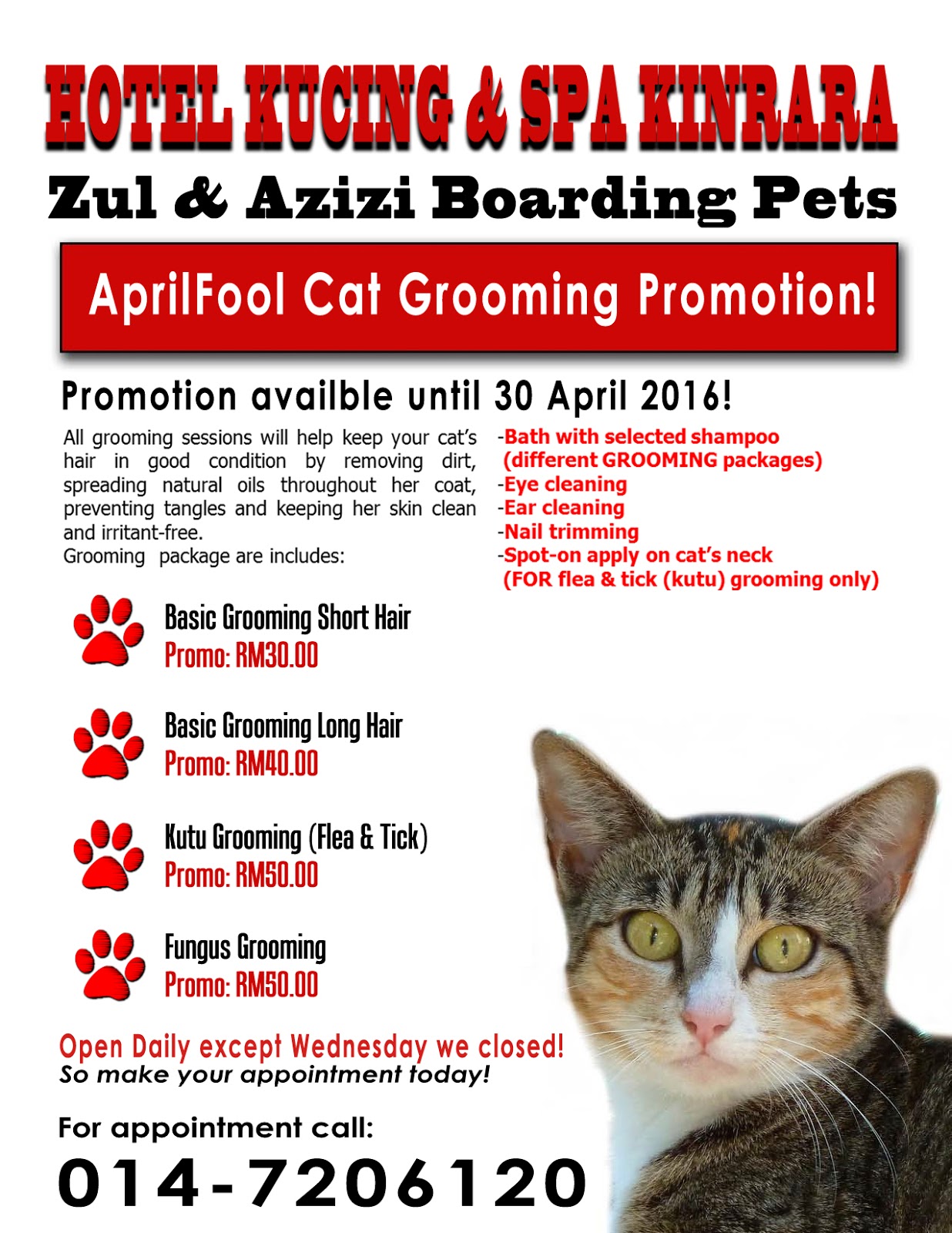 AprilFool Cat Grooming Promotion Zul Azizi Boarding Pets aprilfool-cat-grooming-promotion-zul-azizi-boarding-pets