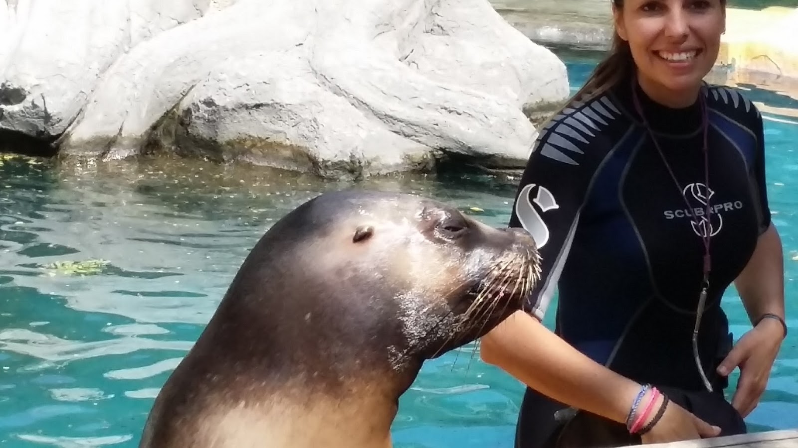 CLASE DE 5º Y 6º DE EL ARENAL (ÁVILA).: EXCURSIÓN AL "ZOO" DE MADRID.