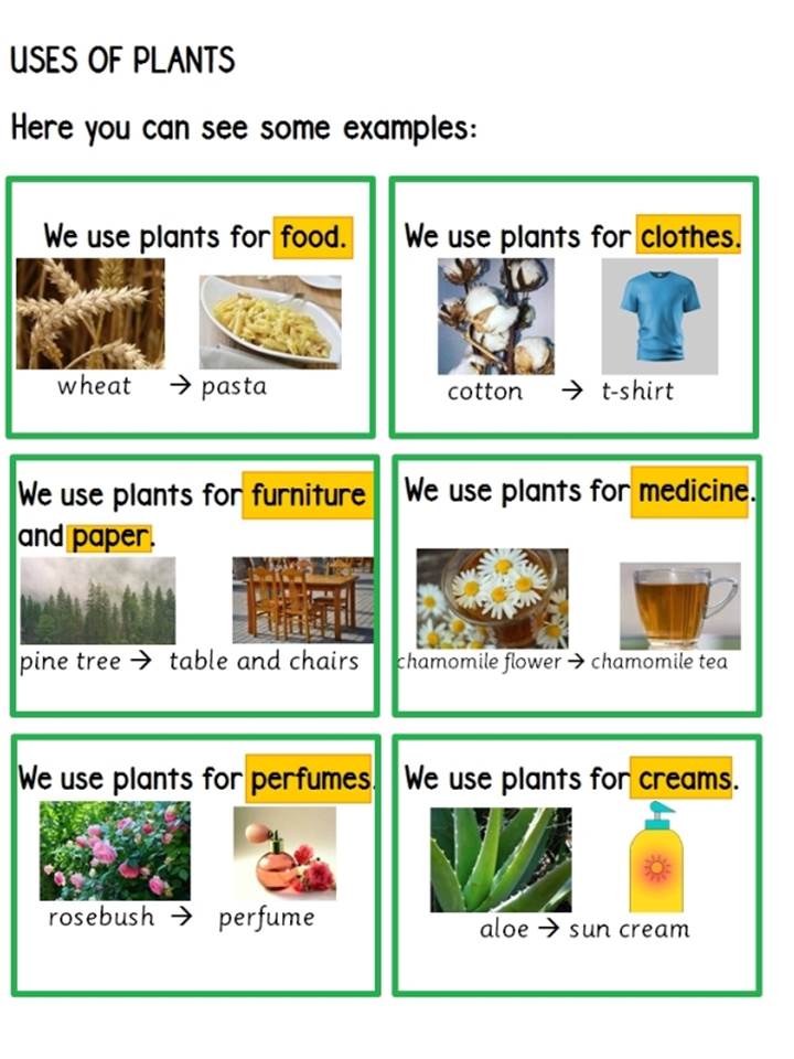 El blog de Carmen: NATURAL HOMEWORK- USES OF THE PLANTS- 29th APRIL