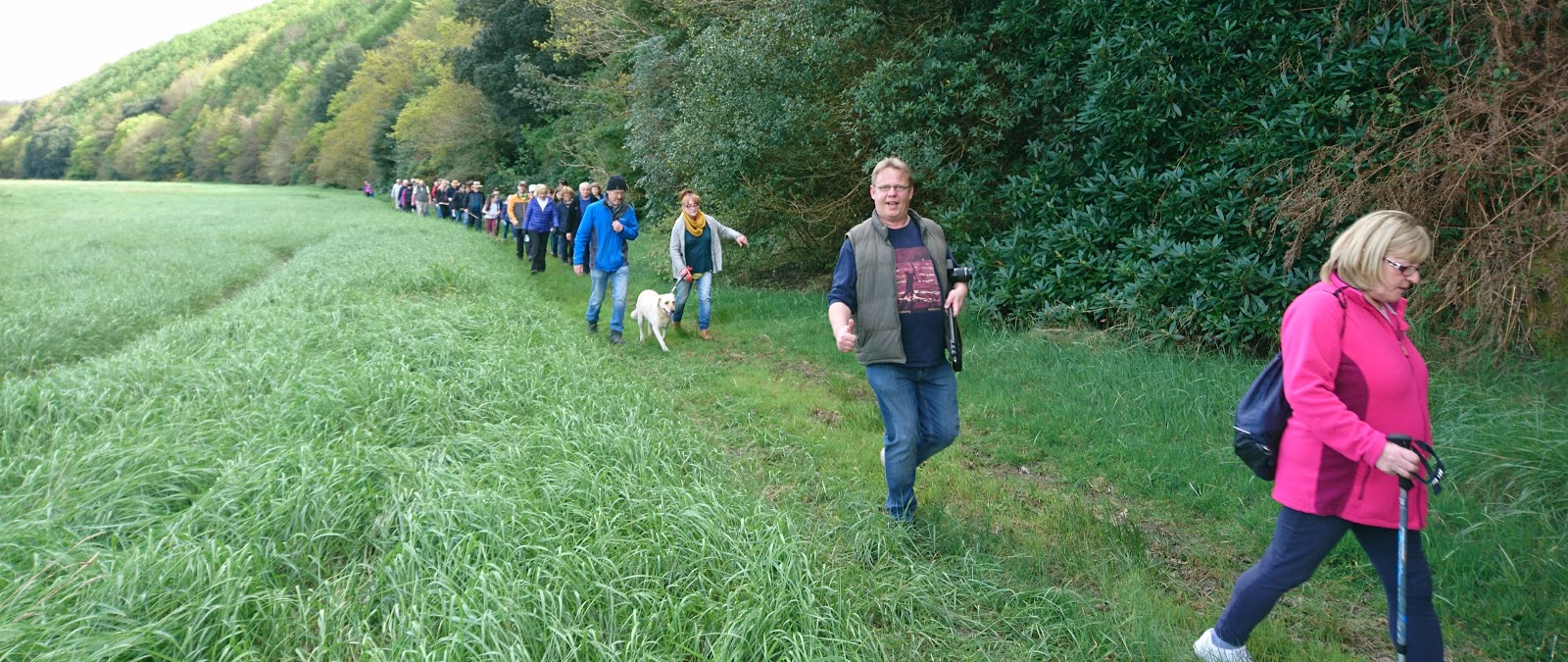 The magical Faithlegg Salt marsh walk - Tides & Tales