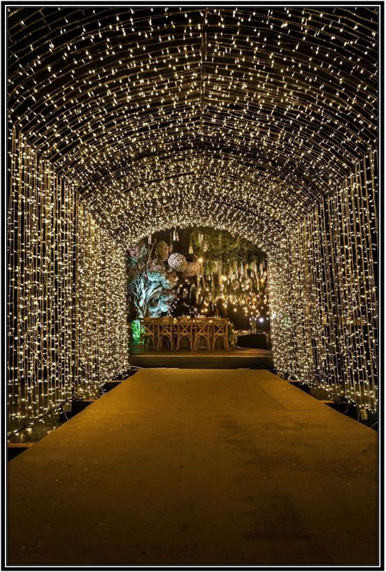 Occasionn Wedding: Indian Marriage Light Decoration Ideas That Bring ...