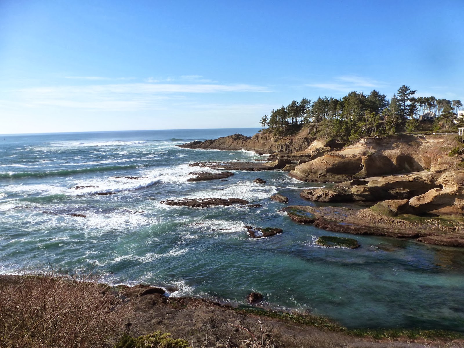 Gardening with Wyatt: January Beach Fun!