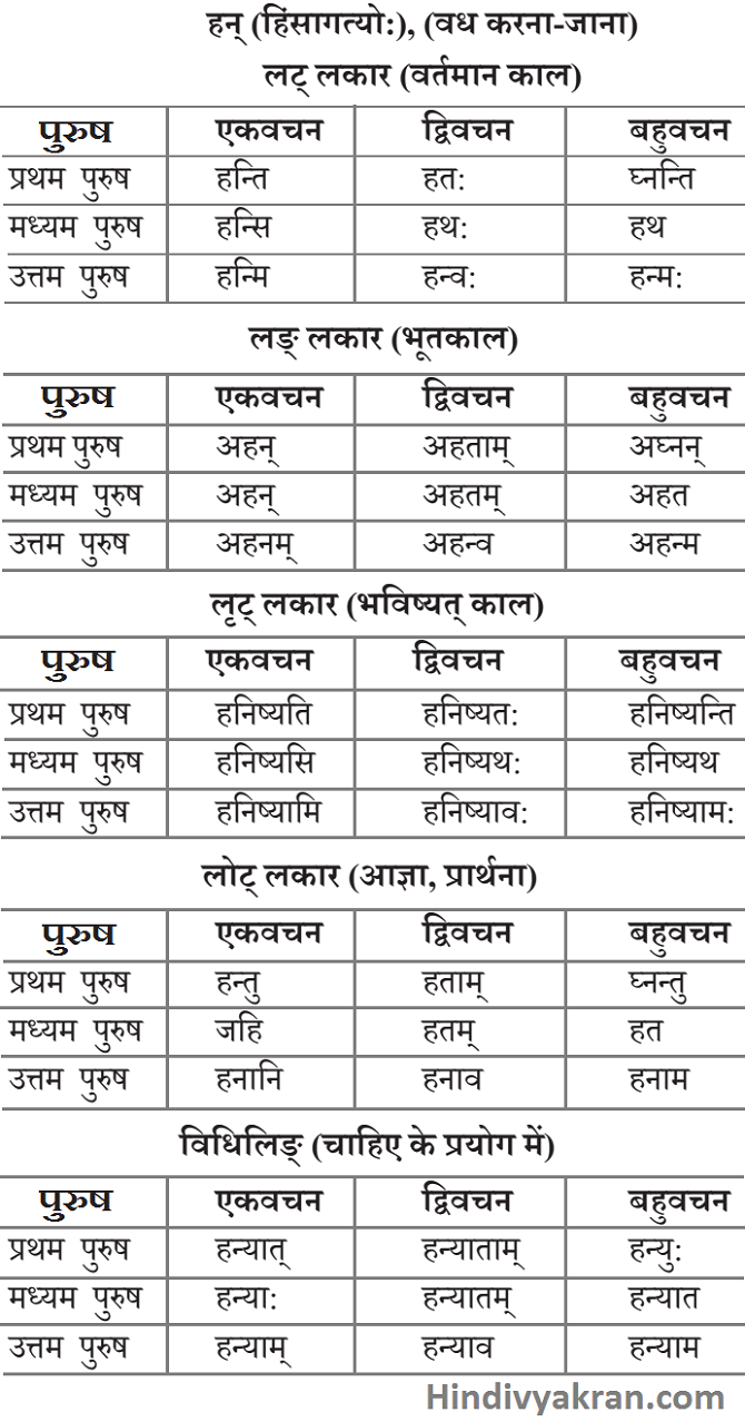 हन् धातु के रूप संस्कृत में – Han Dhatu Roop In Sanskrit | HindiVyakran