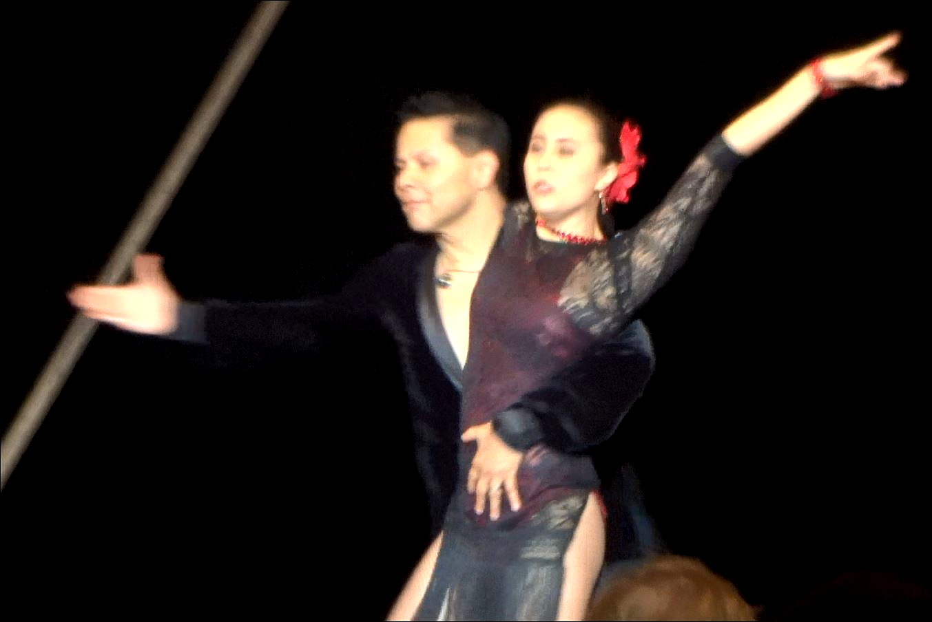 The Dance Connection: 2017 Divino Ritmo Dance Mardi Gras Ball