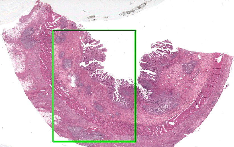 coidados básicos da saúde: octubre 2012