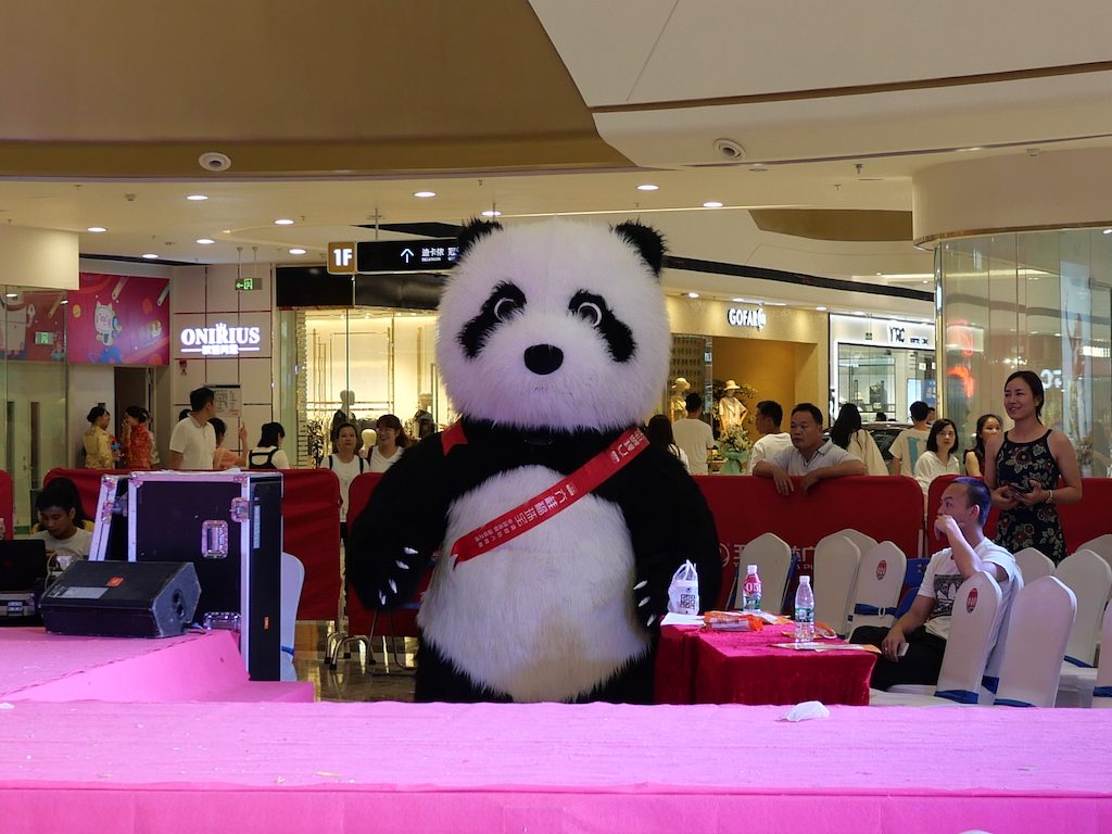 Watched By a Gigantic Panda in Yulin - Isidor's Fugue