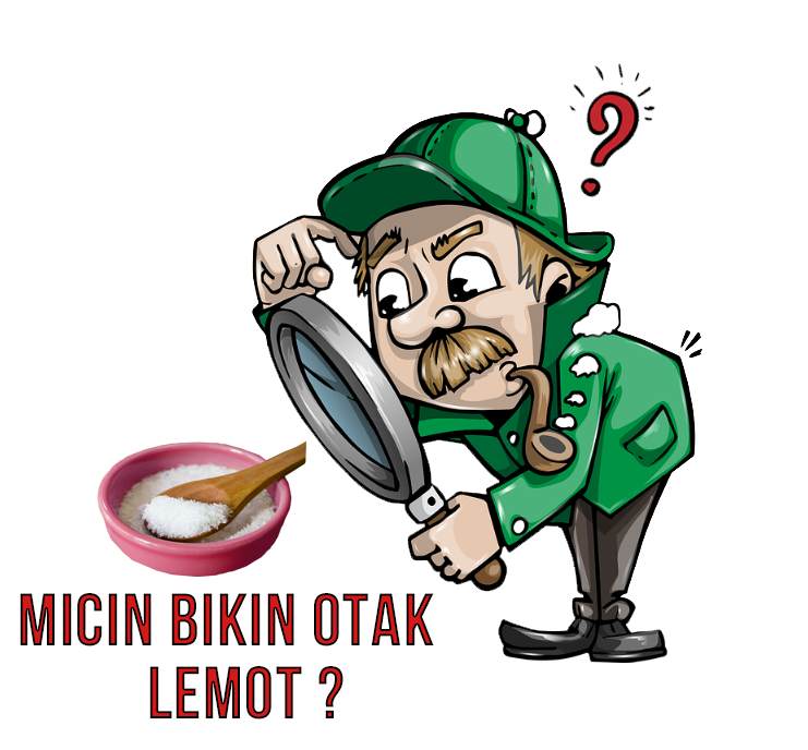 Benarkah Micin Berbahaya Bagi Kesehatan ? - WADAHTEKNO Benarkah Micin Berbahaya Bagi Kesehatan ? - WADAHTEKNO