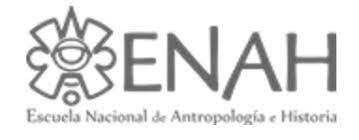 Orientación vocacional: 2021