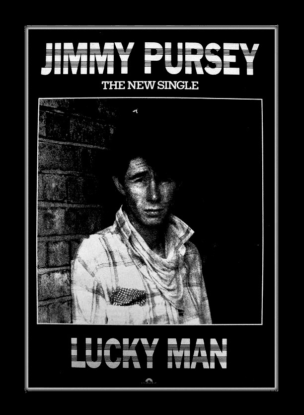 OLD, WEAK BUT ALWAYS A WANKER - THE PUNK YEARS: JIMMY PURSEY ...