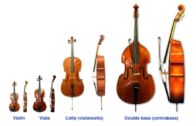 Hang Around the World: Music #500 - Instruments - Strings