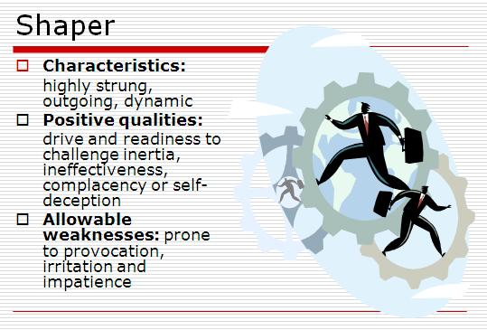 Belbin's Nine Roles - Catatan Astri