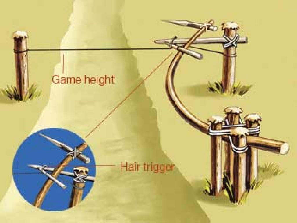 Survivre au Chaos: Six pièges primitifs pour la chasse