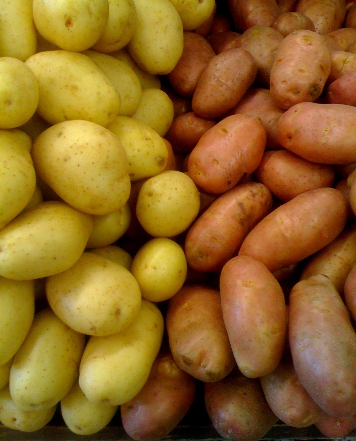 Gastroempatia: Batata