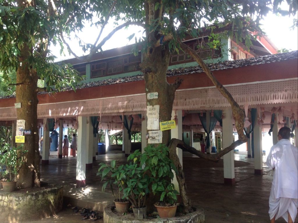 Hindu Temples of India: Sacred Jackfruit Tree, Kaina, Manipur