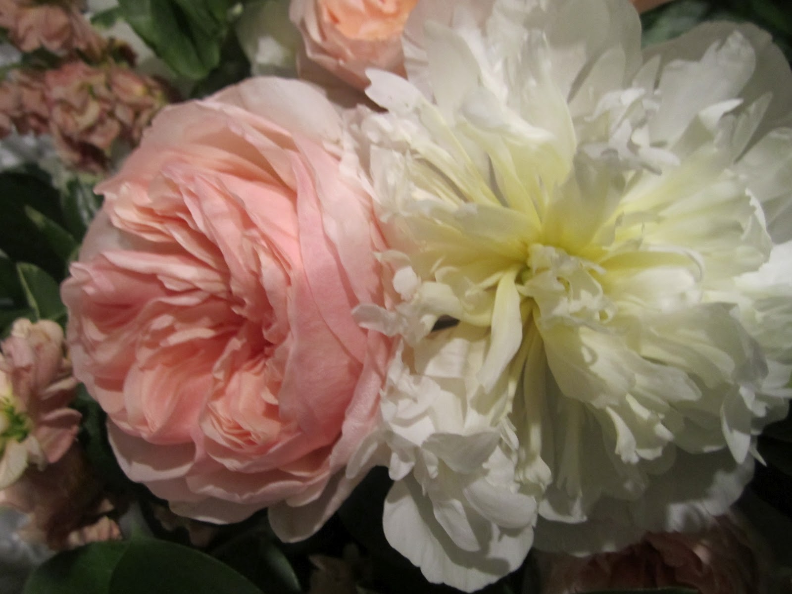 Tish Long Flowers: Isn't It Romantic