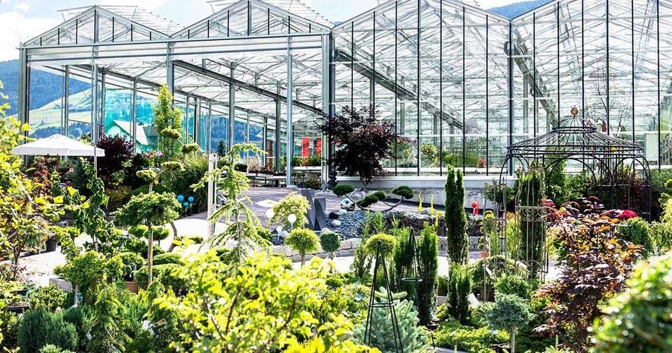 Vivero 1: Construir y desarrollar un vivero - Todo con plantas