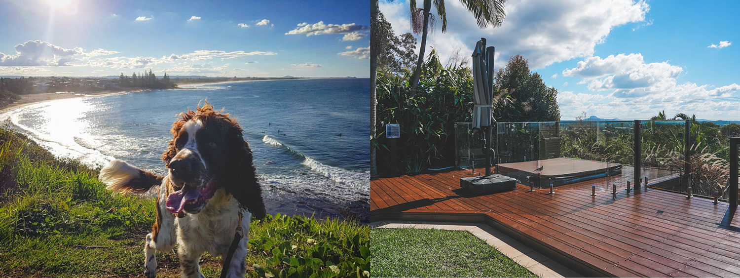 Celebrating National Dog Day 2019 - August 26 | Australian Dog Lover