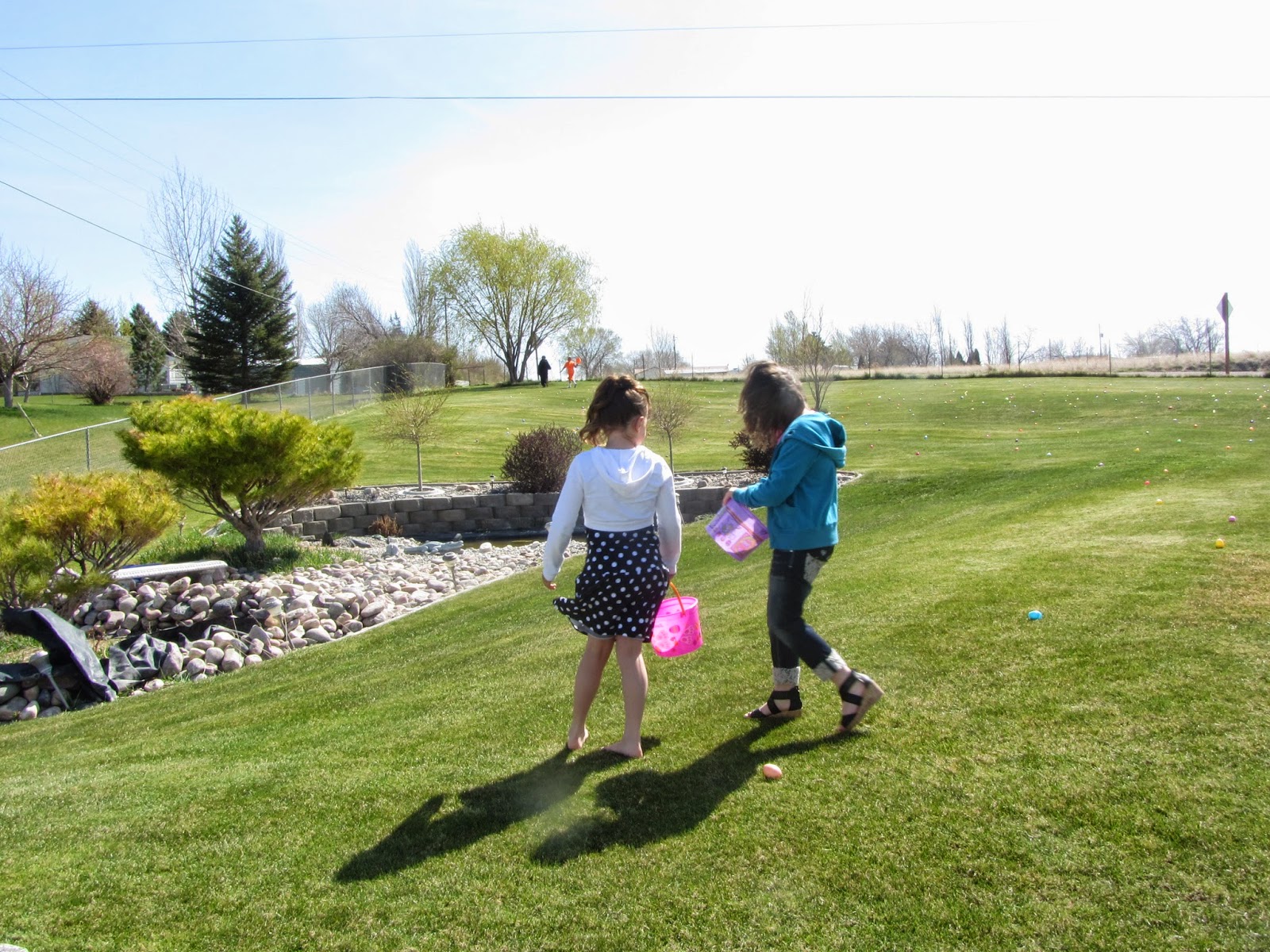 Idaho PugRanch: Scoop that Poop - Poop Hunt!