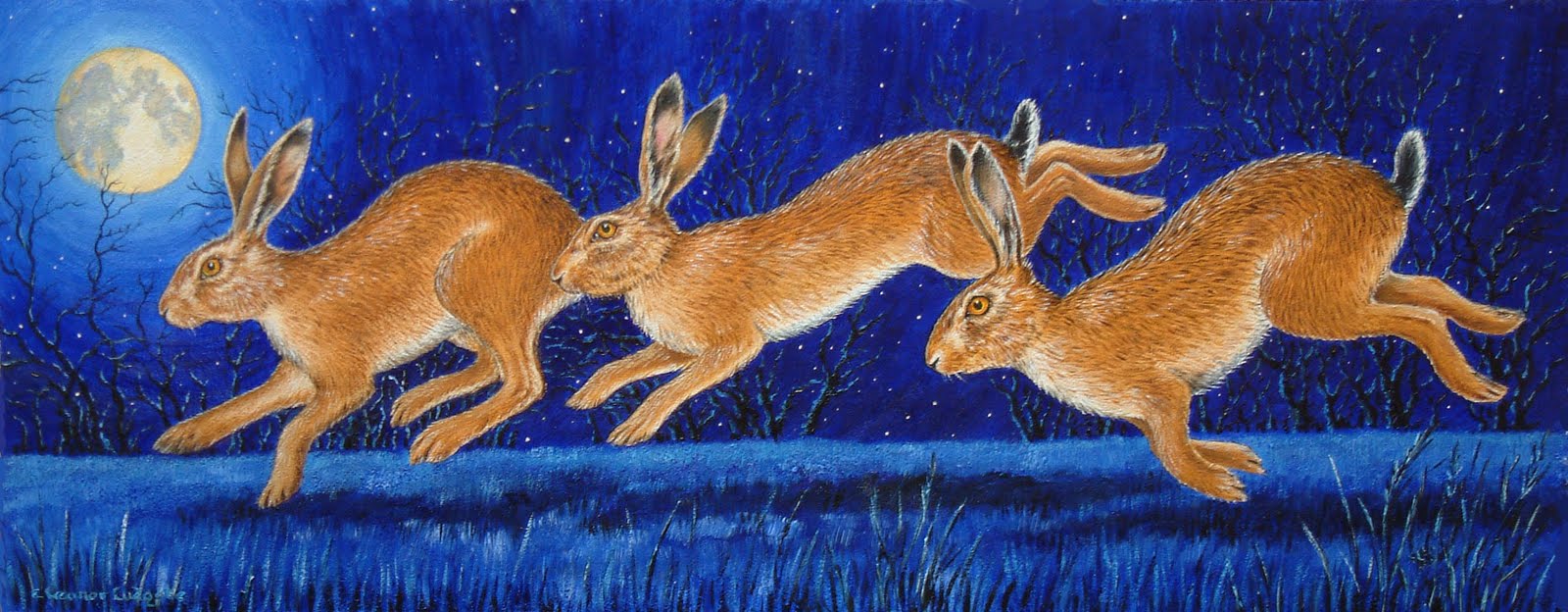 Eleanor Ludgate Blog Spot: Hare Painting