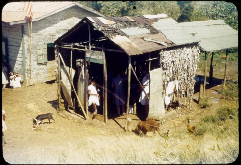 Everyday Life of Puerto Rico in the Mid-1940s Through Amazing Color ...