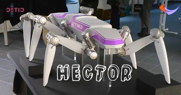 Hector- The 6 Legged Robot - Aleem Siddiqui