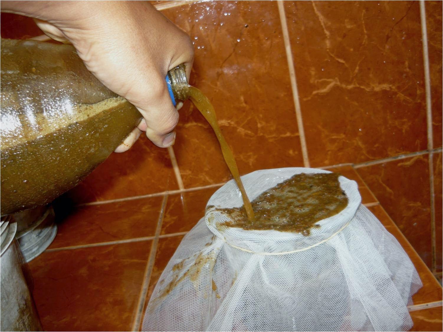 ALTERNATIVA ECOLÓGICA: ELABORACIÓN DE BIOL CASERO