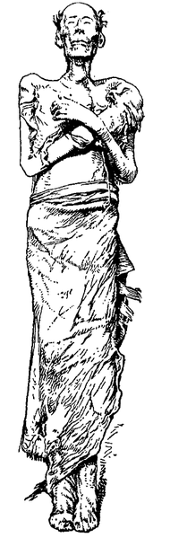 Imagenes de Egipto: Momia de Ramses II.fotos