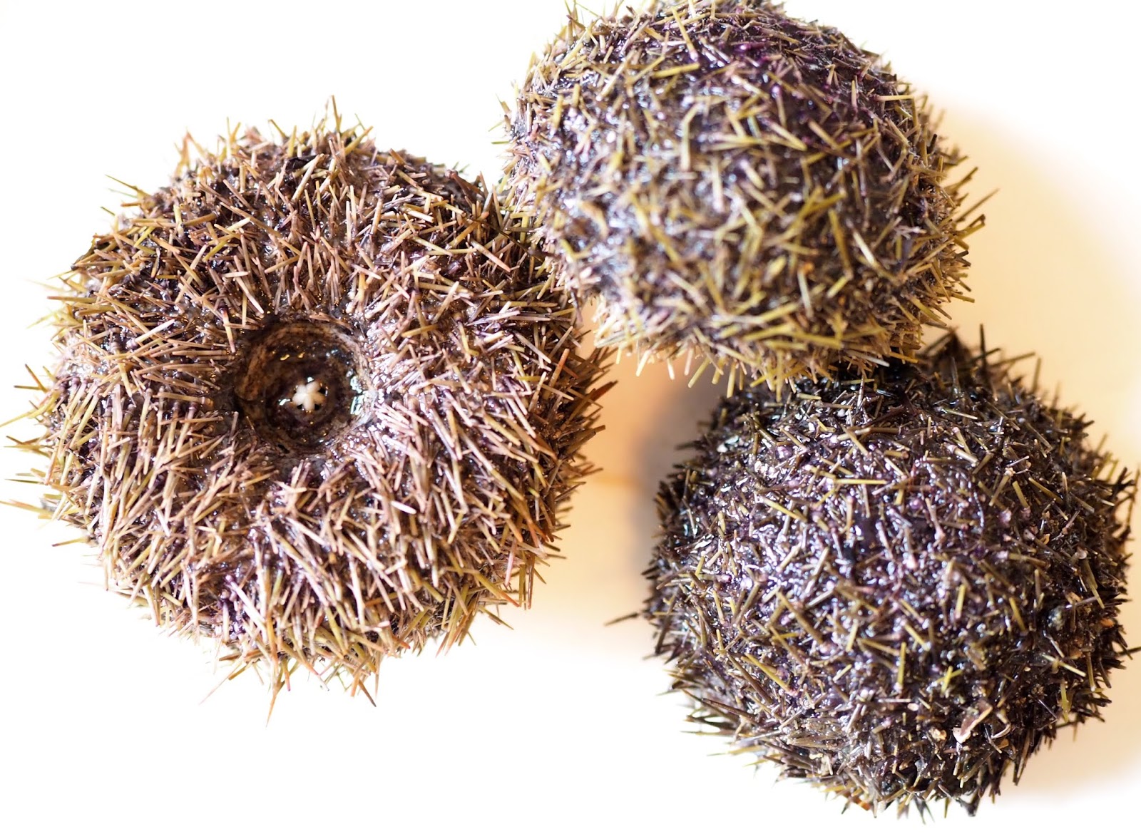 Blond Kitchen: Merisiilispaghetti